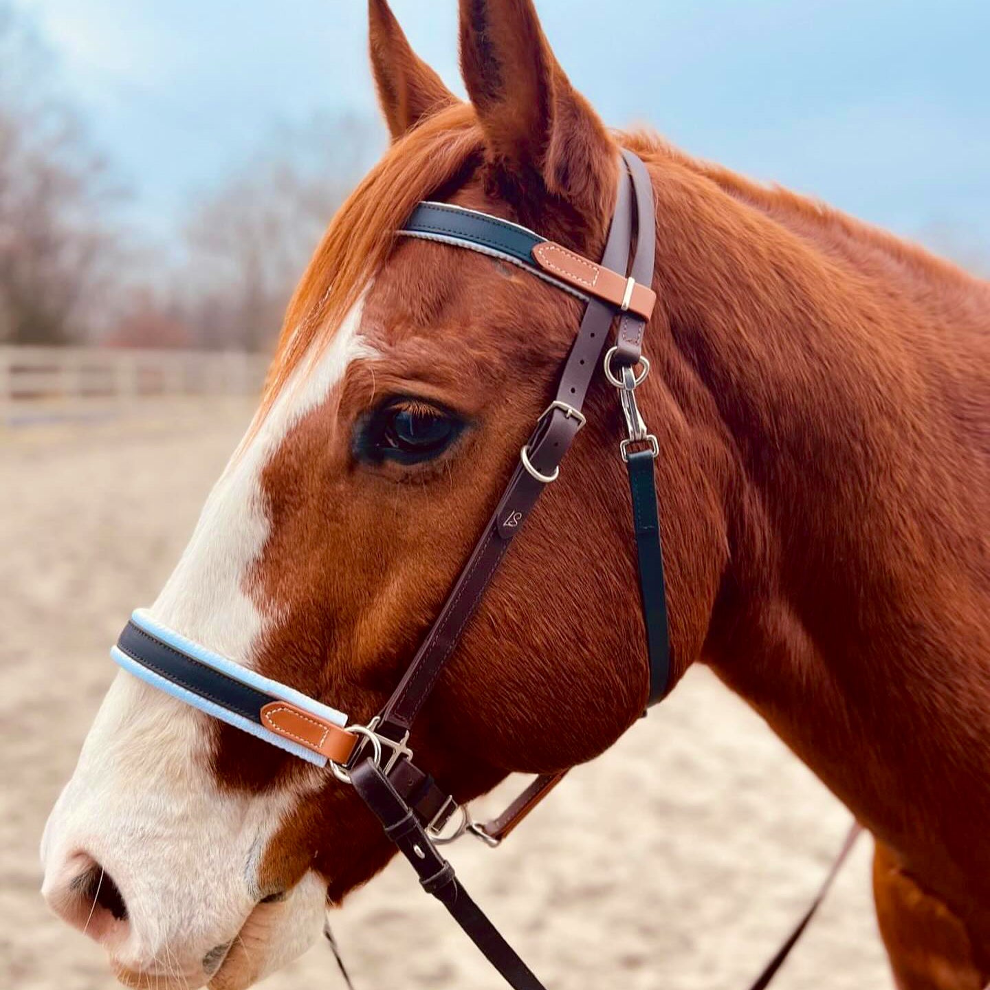 Biothane®️ Bitless Bridle Range – LS Equestrian NZ