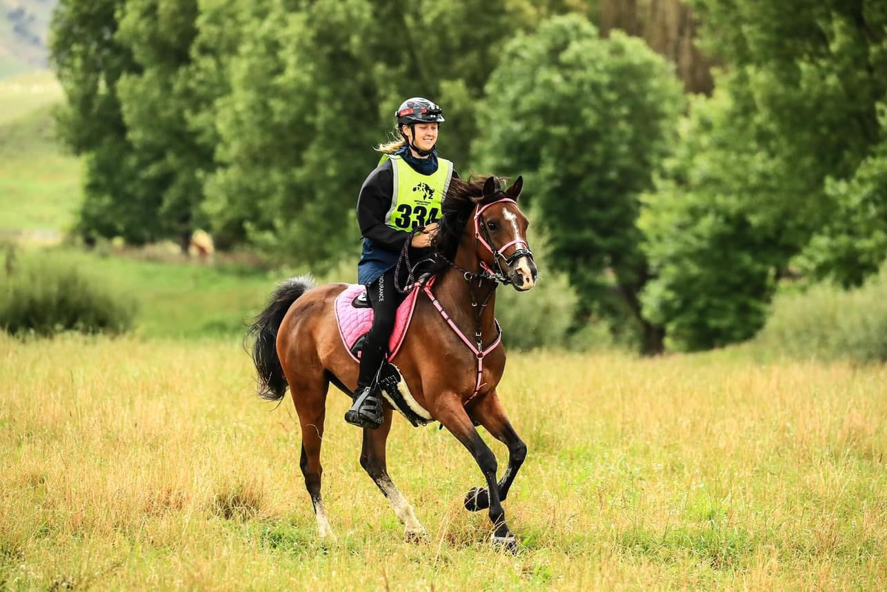 Quality BioThane® Endurance Tack / Horse Tack & Saddlery – LS Equestrian NZ