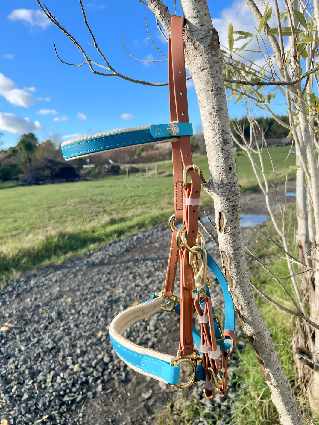 Multi Bridles – LS Equestrian NZ
