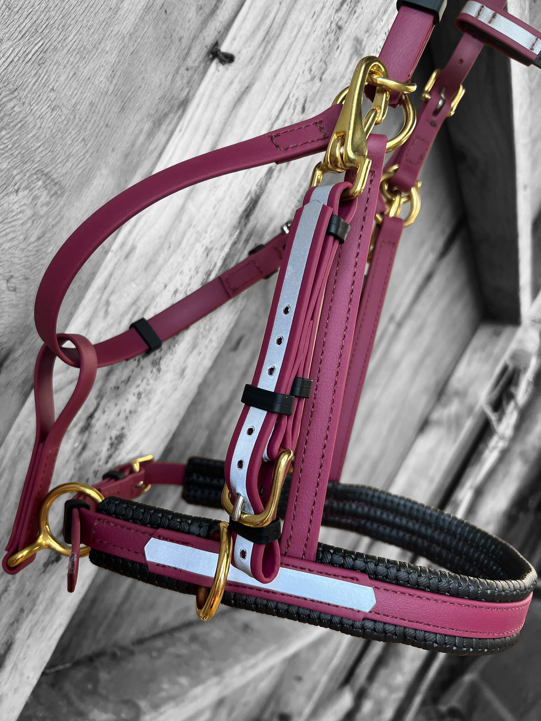 Pre Designed - Bitless & Multi Bridles – LS Equestrian NZ